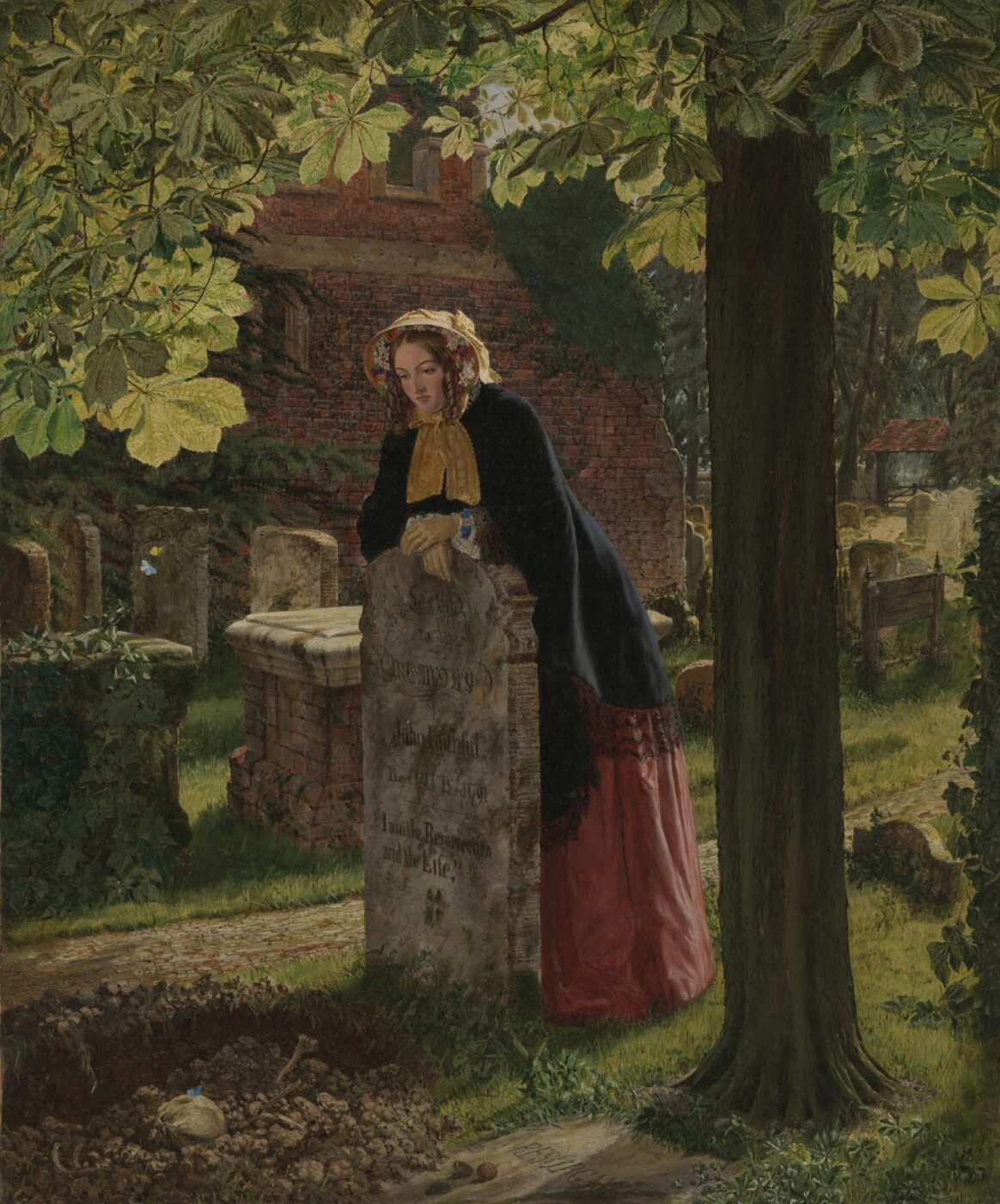 Ruskin and Lichen - The Courtauld