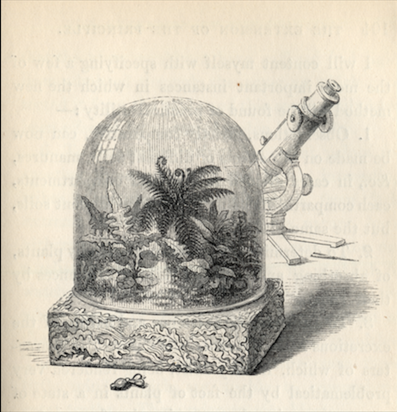 MOLLY K. ECKEL // ‘A little world within a world’: The Wardian Case of ...