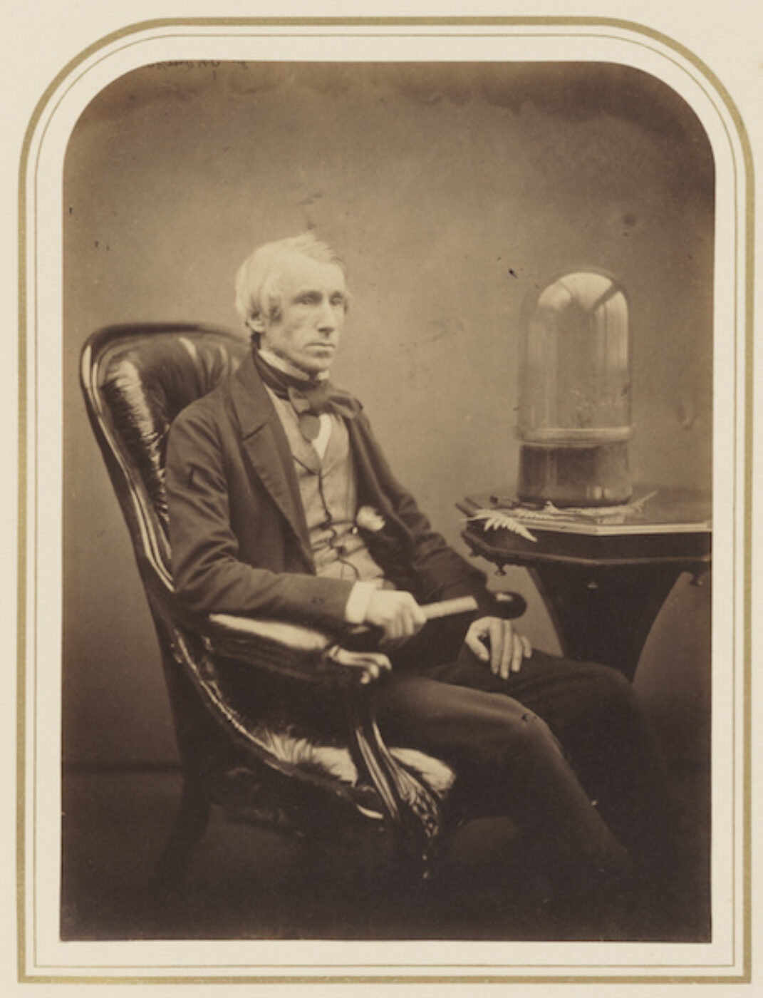 MOLLY K. ECKEL // ‘A little world within a world’: The Wardian Case of ...