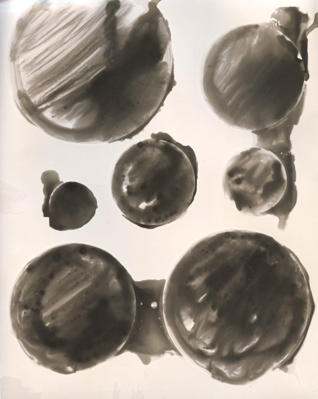 Material Photography: A Caffenol Film Developing Demonstration by ...