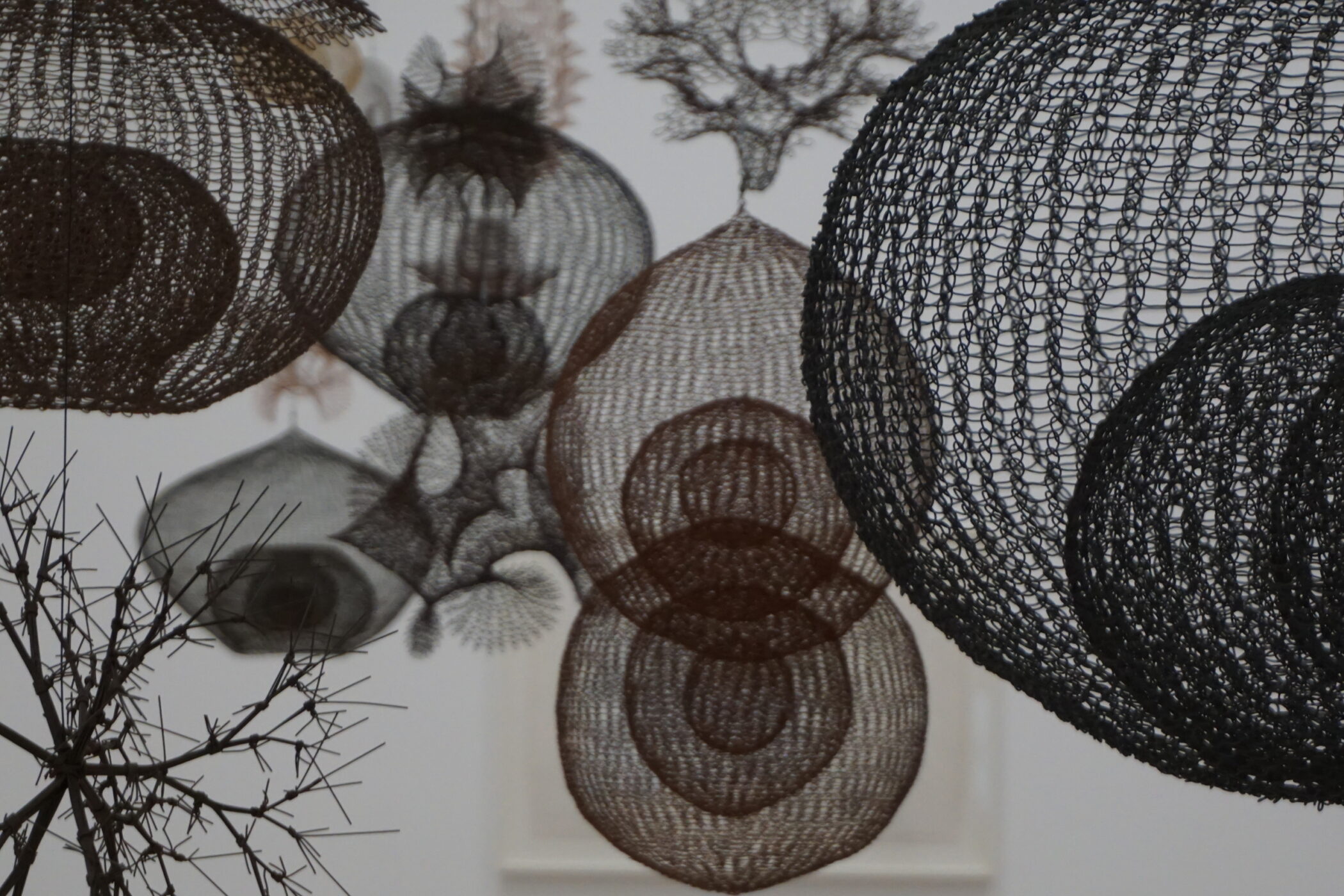 The Immateriality of Materiality: Ruth Asawa’s Looped Wire Sculpture ...