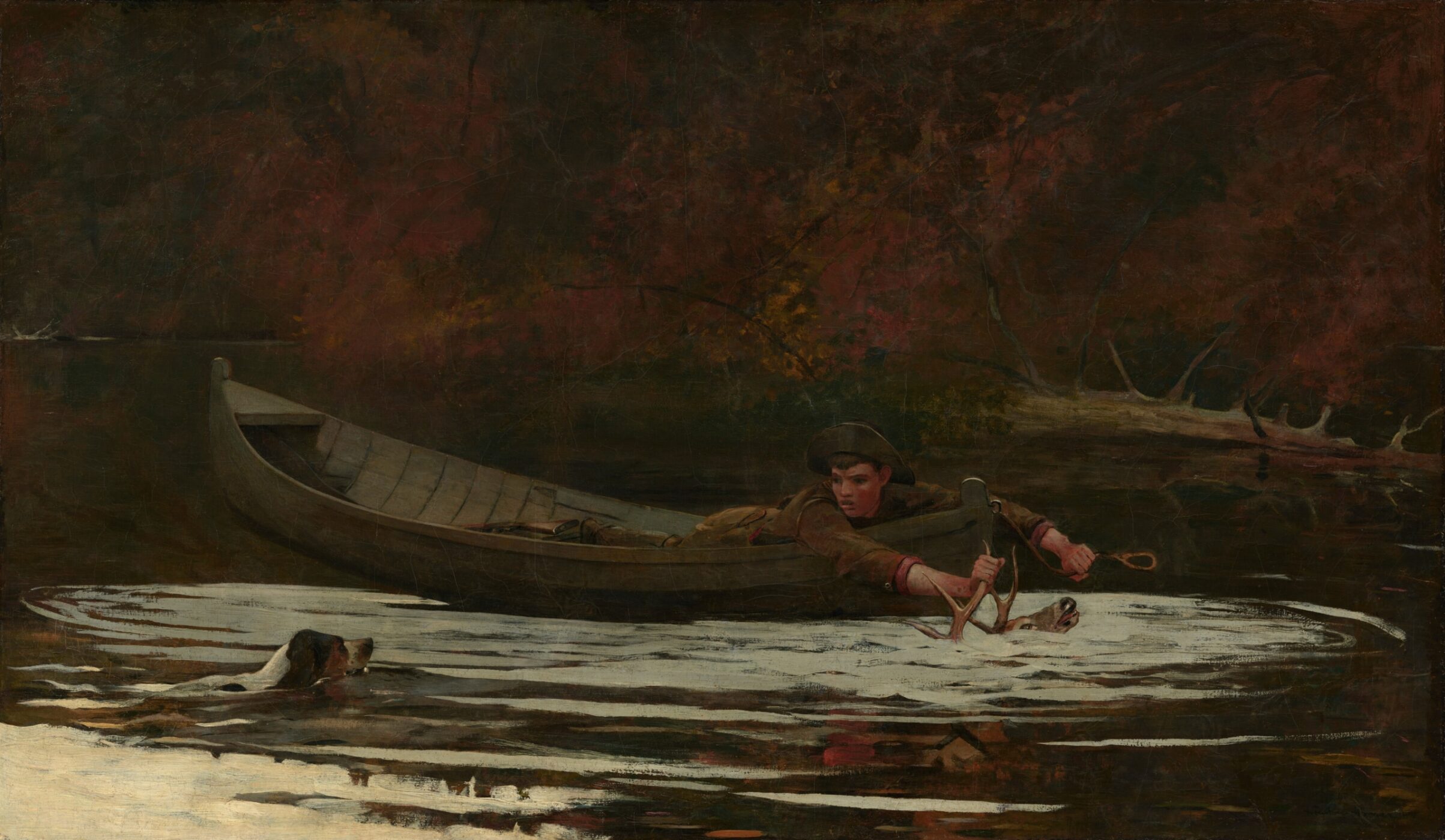 Winslow Homer's Freshwater Wilderness - The Courtauld