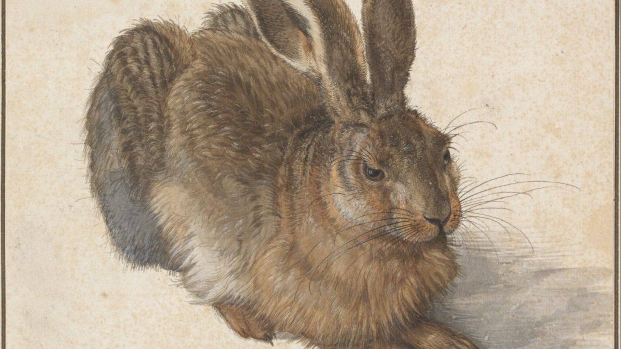 From Life: Representing Nature in Northern European Art, 1500-1750 ...