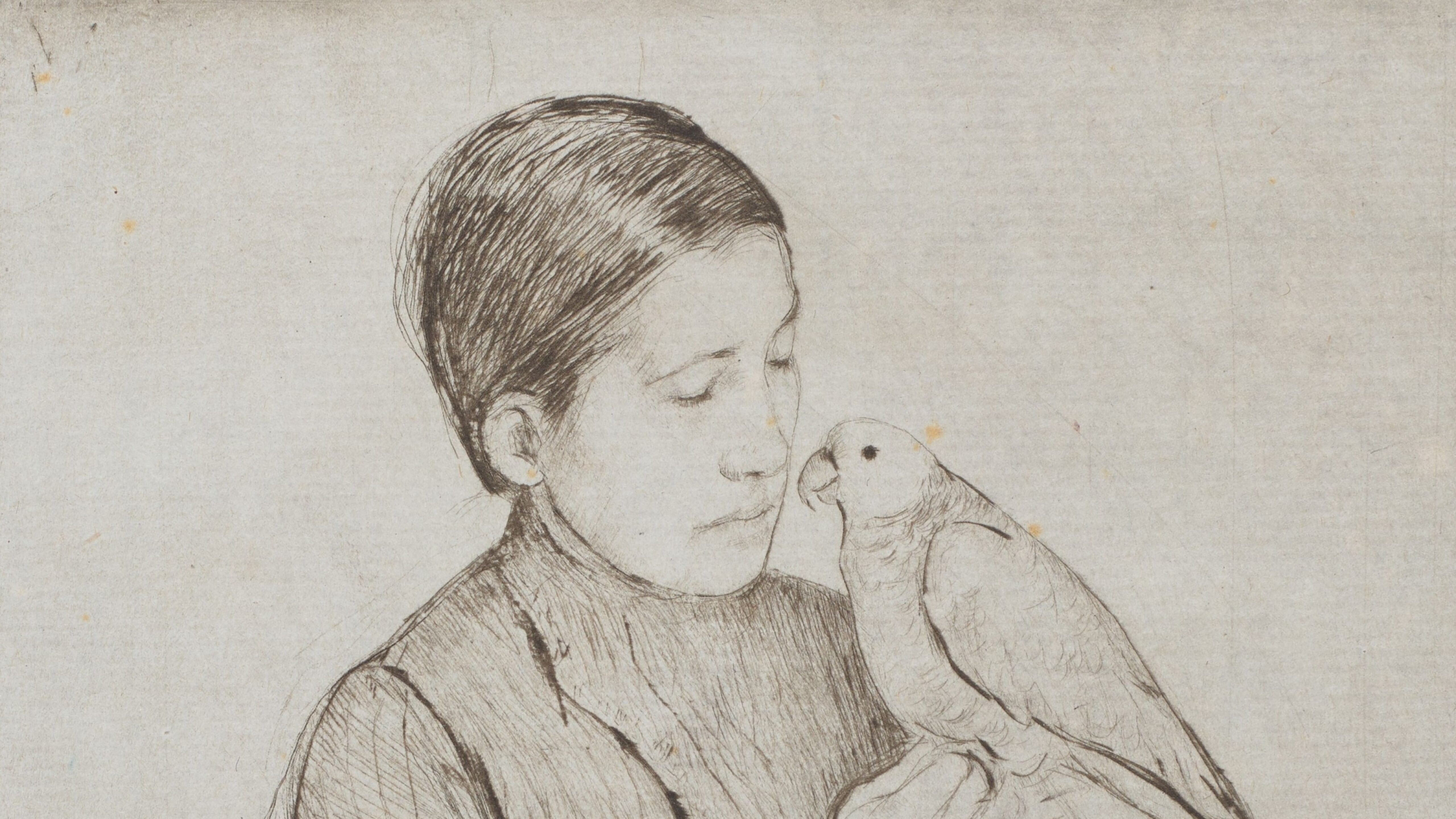 Press releases - The Courtauld