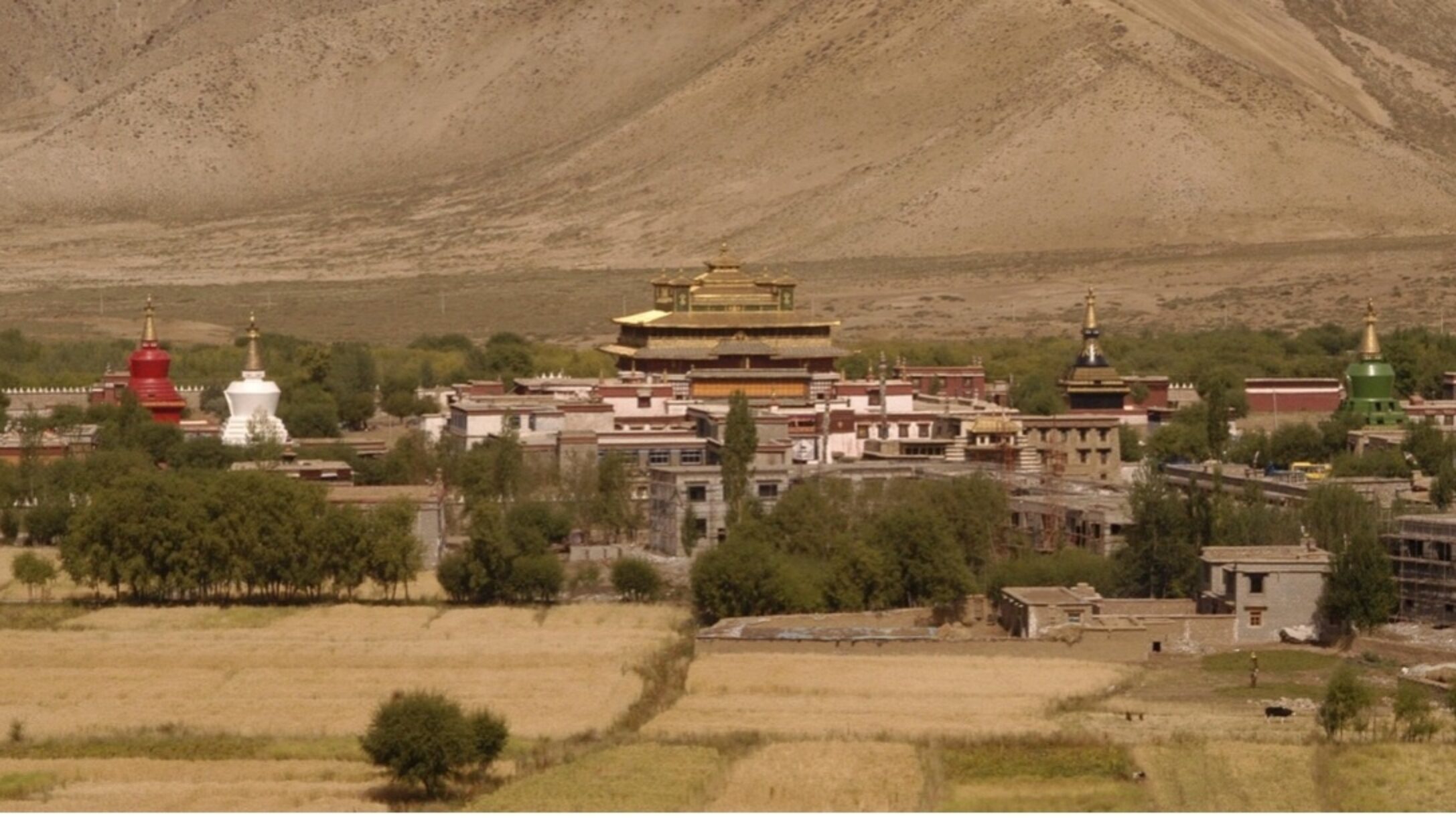 Samye and a Transregional History of Buddhist Architecture in the Late ...